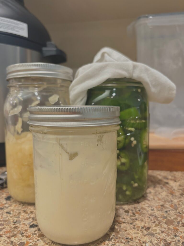 Lacto-fermentation: Gut-Healthy Food Preservation - Headed for a Homestead